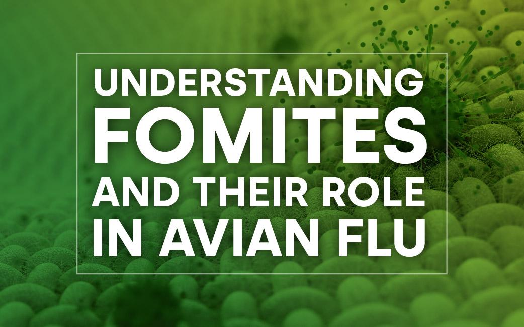 Understanding fomites and their role in avian flu - Livetec